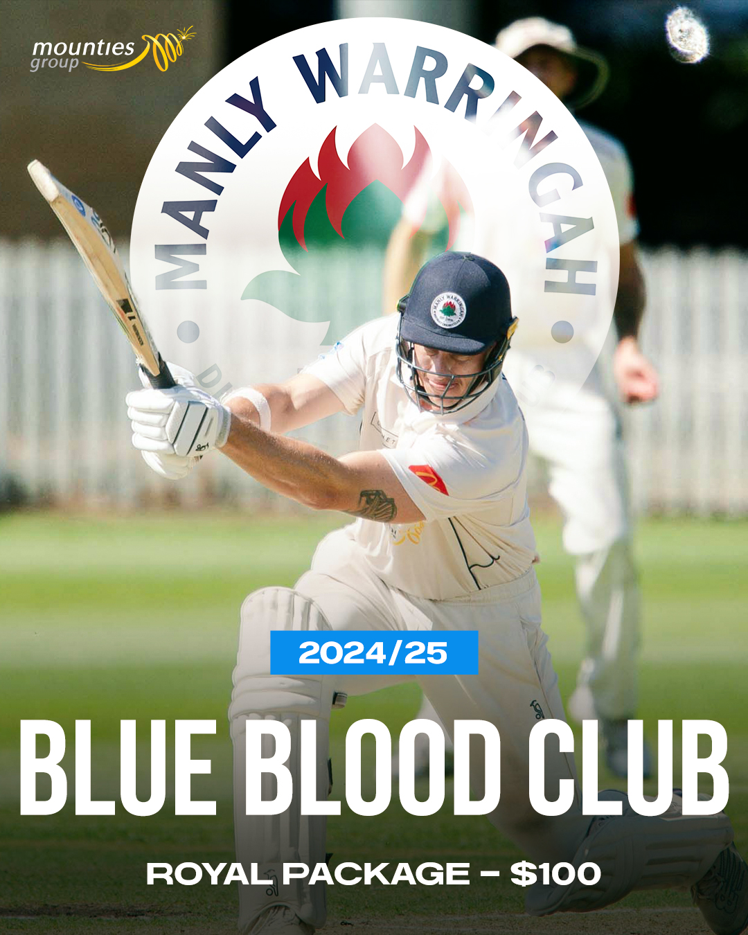Blue Blood Club - $110 Royal Package - Manly Warringah District Cricket ...